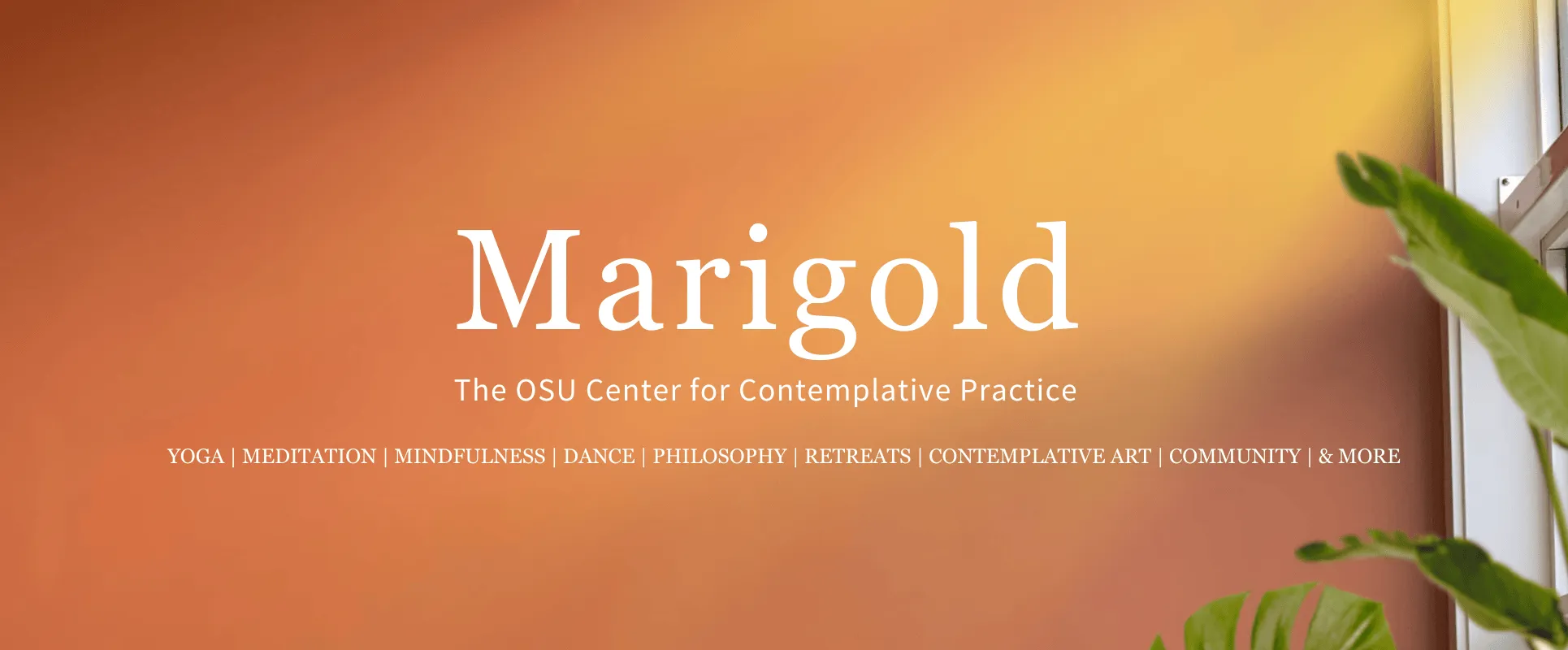 Marigold | College of Liberal Arts | Oregon State University